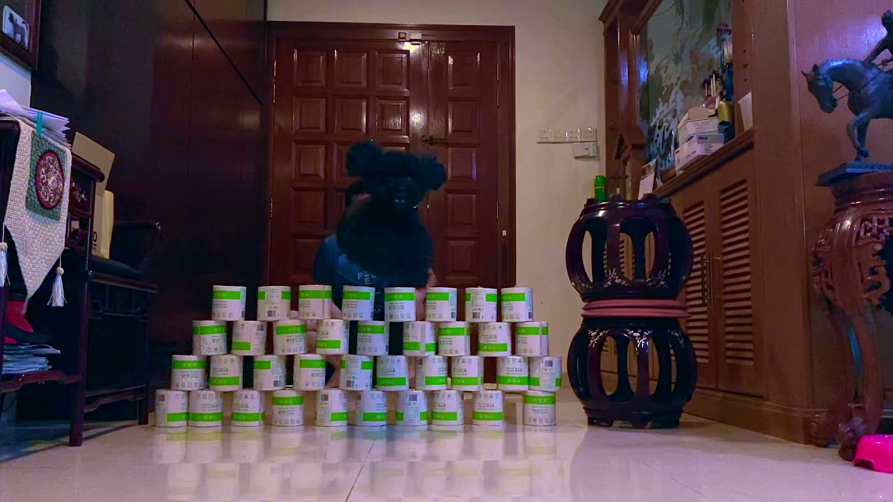 BoBo CoCo Tissue Roll Challenge - YouTube