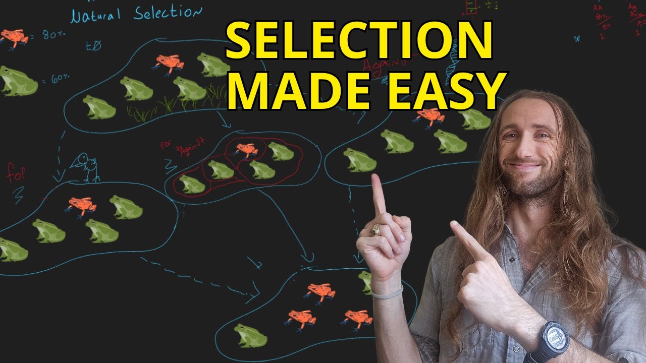 Natural Selection Explained! - Simple definition w/ 3 examples - YouTube