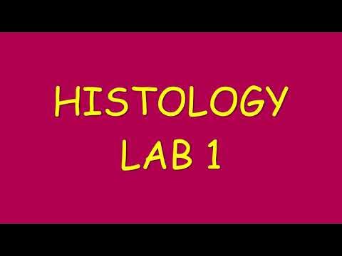 Histology Practical Lab 2 | Cells and Cell Organelles | Dr. Byson EM 🩺 - YouTube