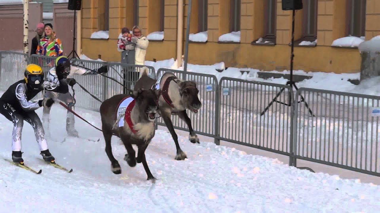 Reindeer race 1 - YouTube