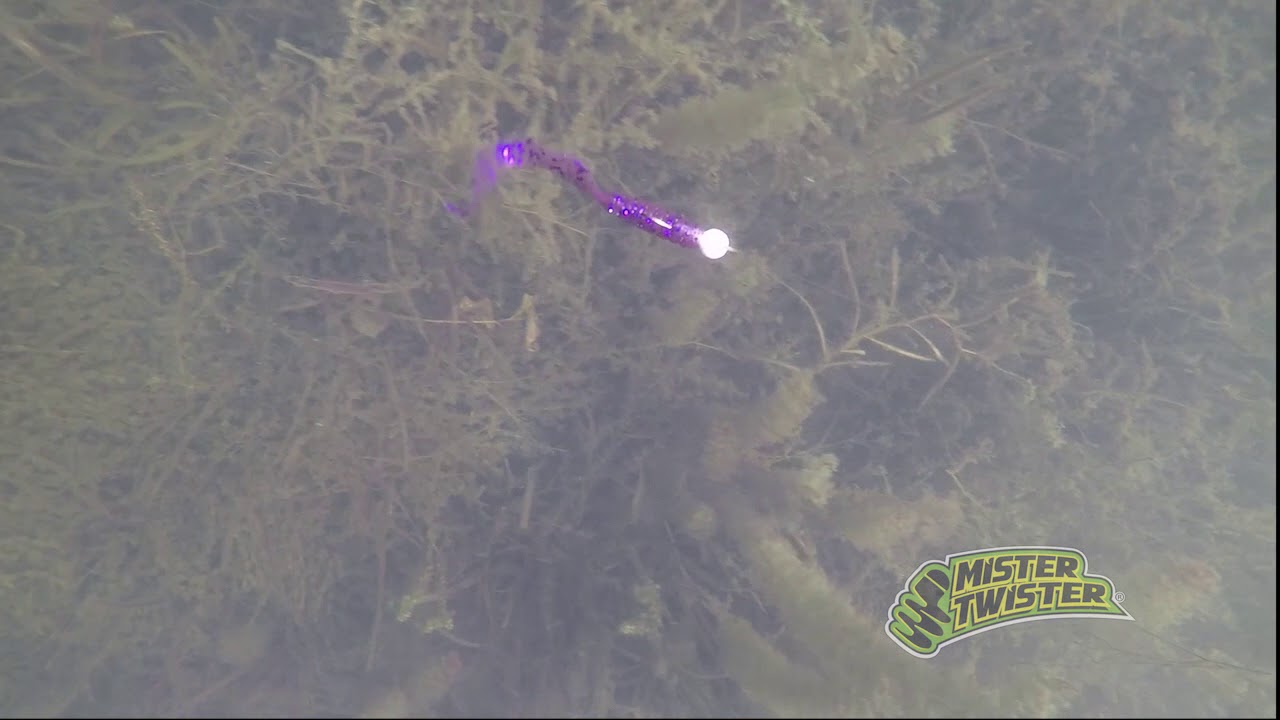 Underwater Footage - Mister Twister "Smoke Purple Flake" Curly Tail ...