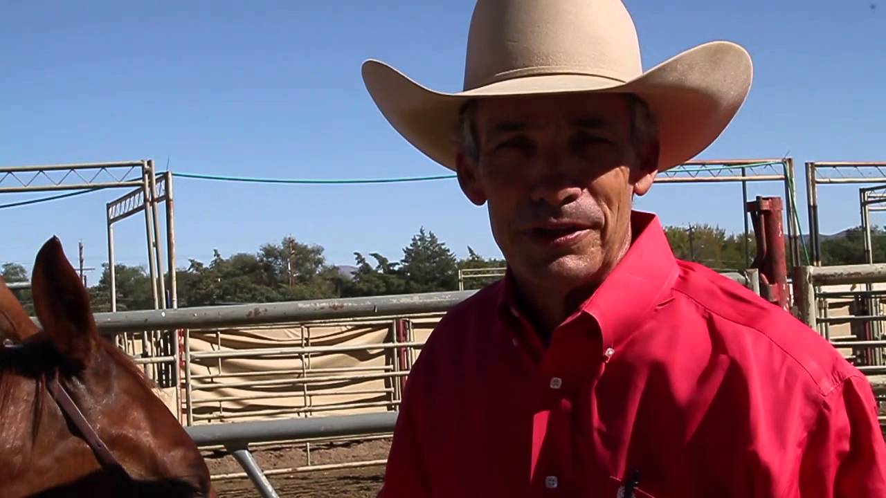NRCHA Snaffle Bit Futurity 2014: Tom Neel - YouTube