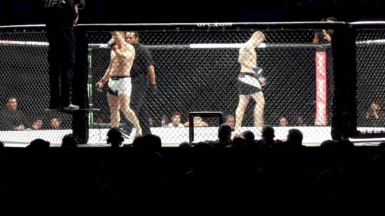 Dongi Yang vs Jack Collier @ UFC Fight Night Seoul 1/2 - YouTube