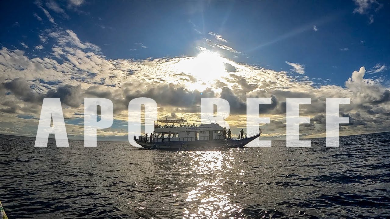 APO REEF 2022 | SEANGLE BREATH EVENT - YouTube