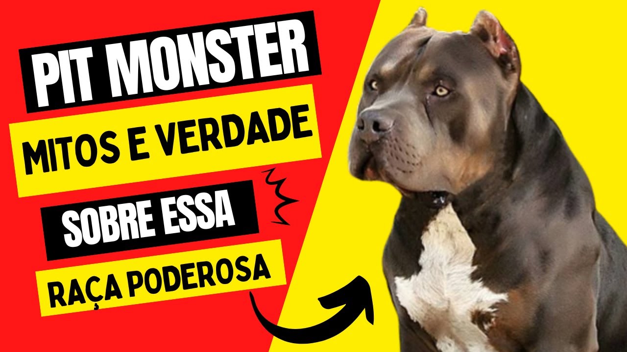 Pit Monsters: Mitos e Verdades Sobre Esse Raça De Cão Poderoso. - YouTube