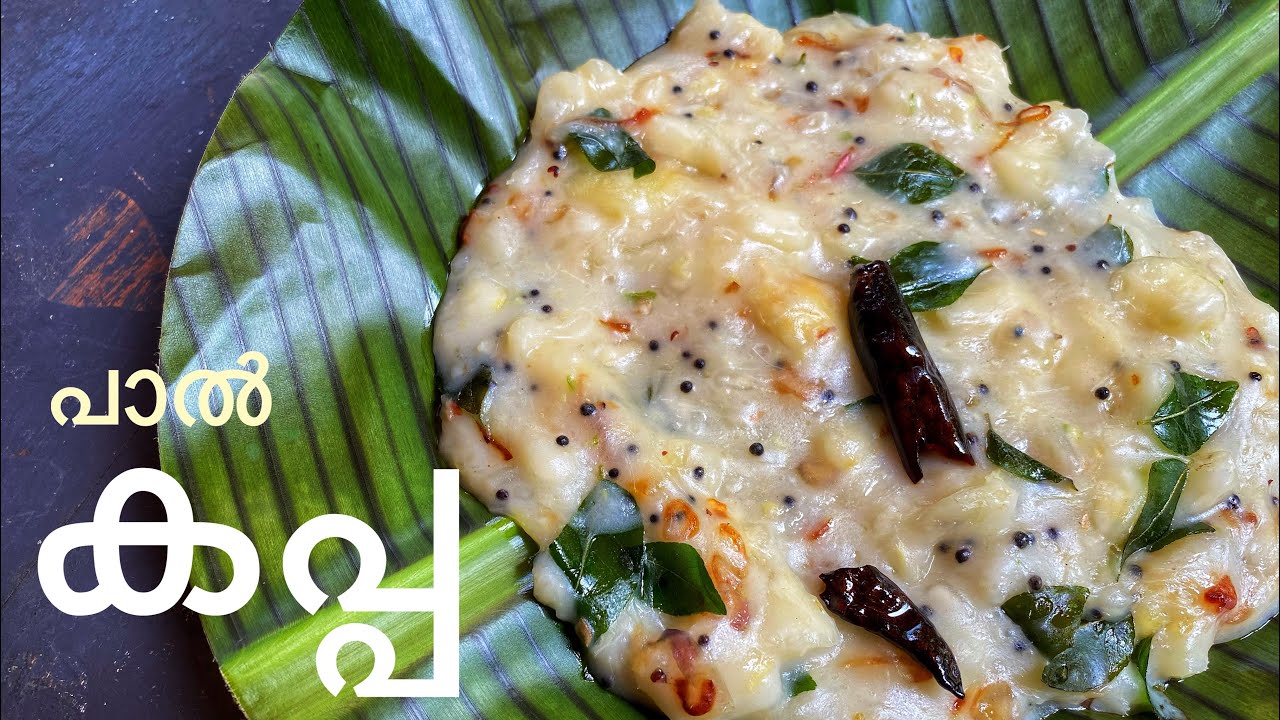 PAAL KAPPA recipe | വായിൽ അലിഞ്ഞുപോകുന്ന പാൽക്കപ്പ ഉണ്ടാക്കാം - YouTube