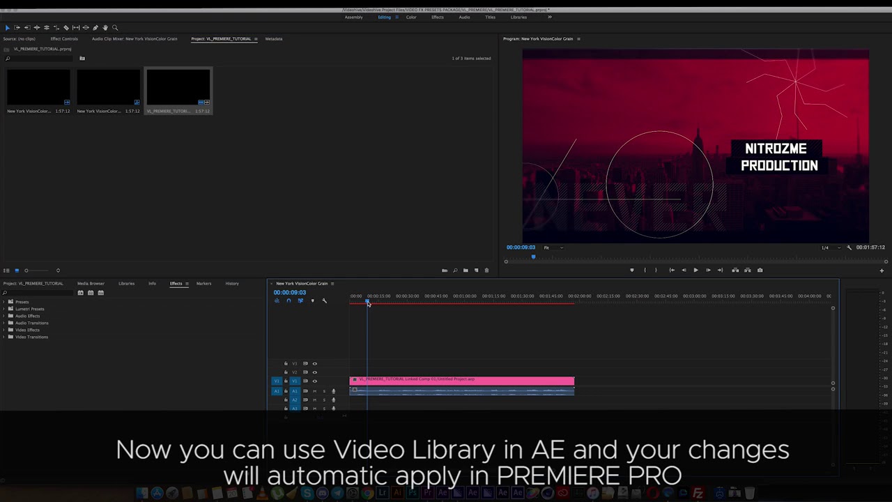 12 Animation Studio Use in Premiere Pro - YouTube