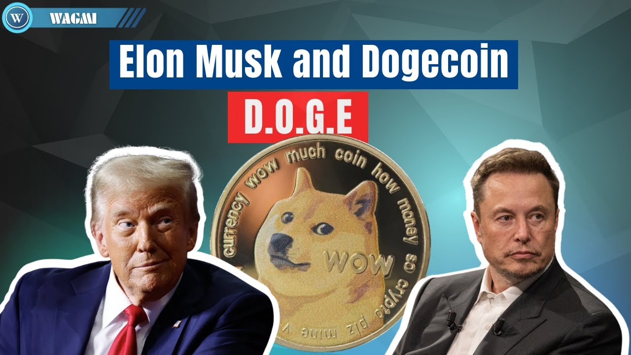 Elon Musk and Dogecoin | From Meme to Cryptocurrency to Government ...