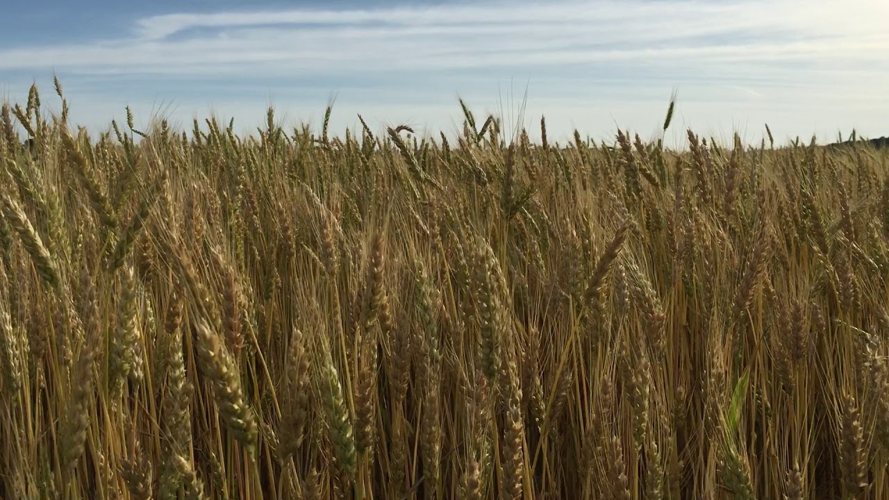 Regan Stone series setting. - YouTube