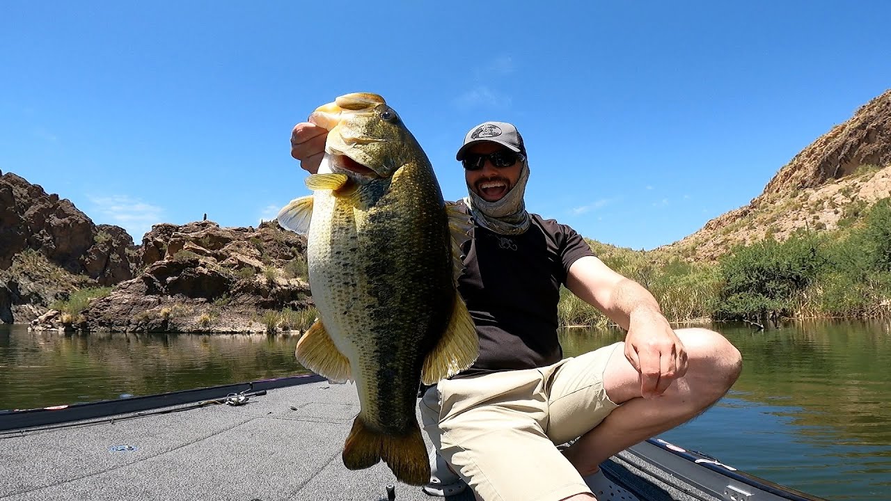 EPIC Day Of Fishing With AWESOME Catches - YouTube