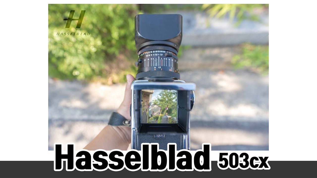 핫셀블라드 503CX 중형 필름카메라로 찍은사진 - YouTube