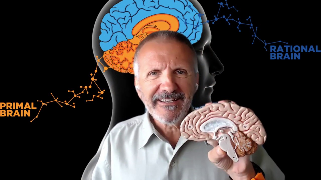 Two brain systems clip - YouTube