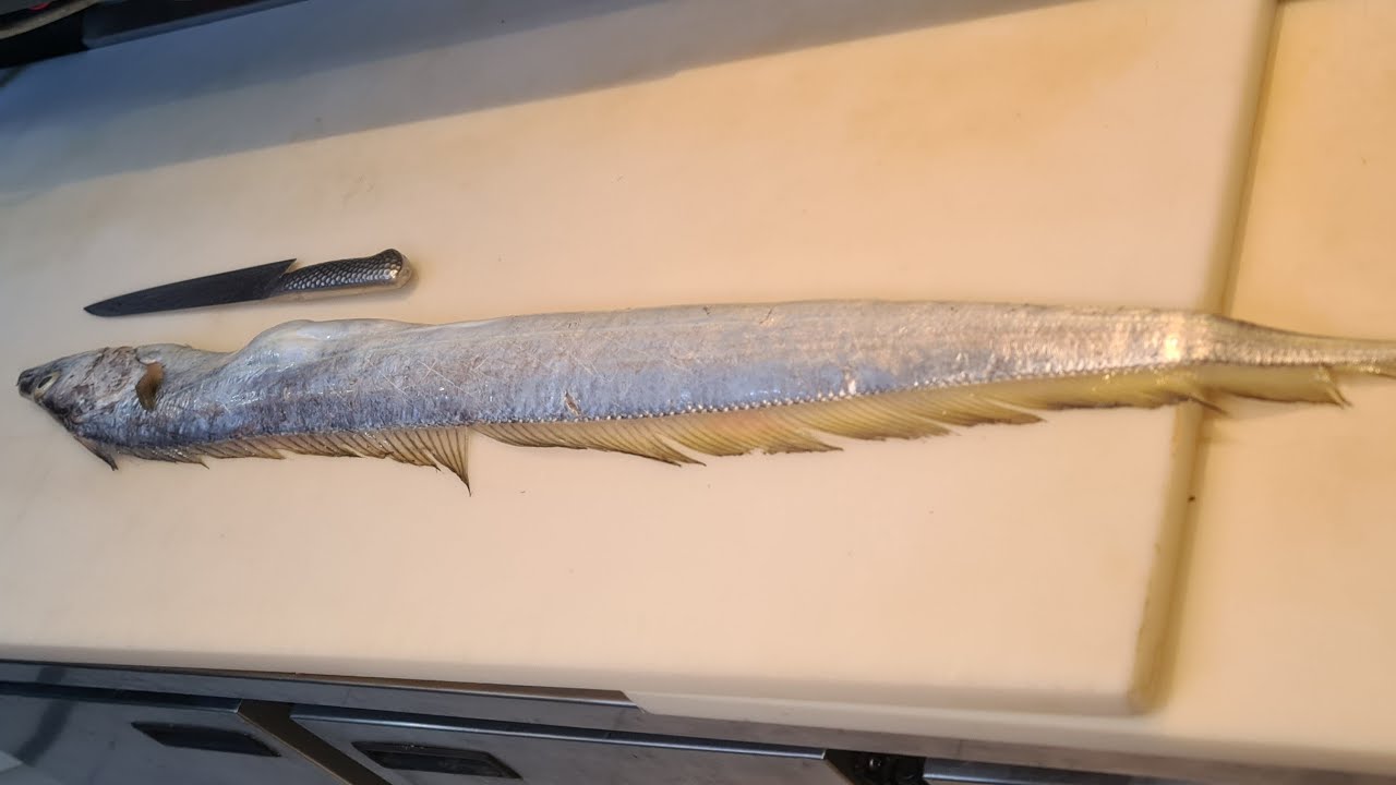 Peixe espada #food #brasil - YouTube