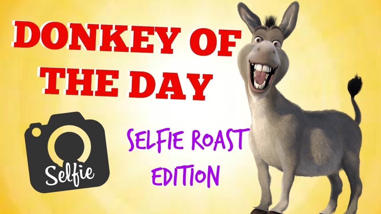 Donkey Of The Day - Selfie Edition ( ROAST ) - YouTube