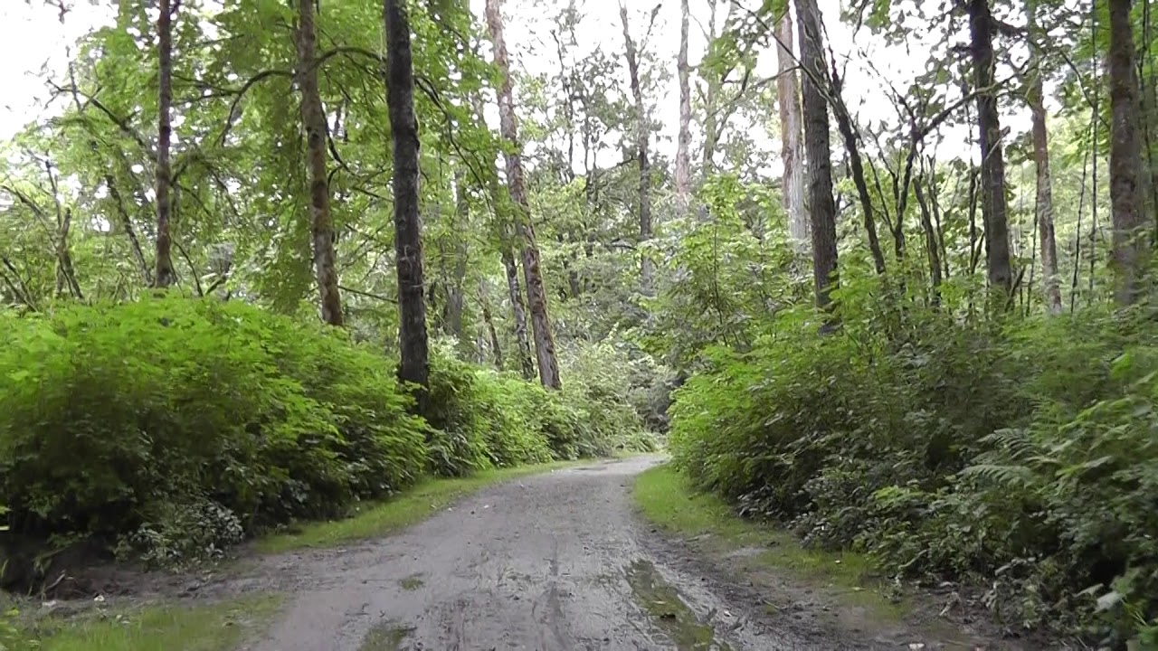 Al Borlin Park Monroe, WA - YouTube