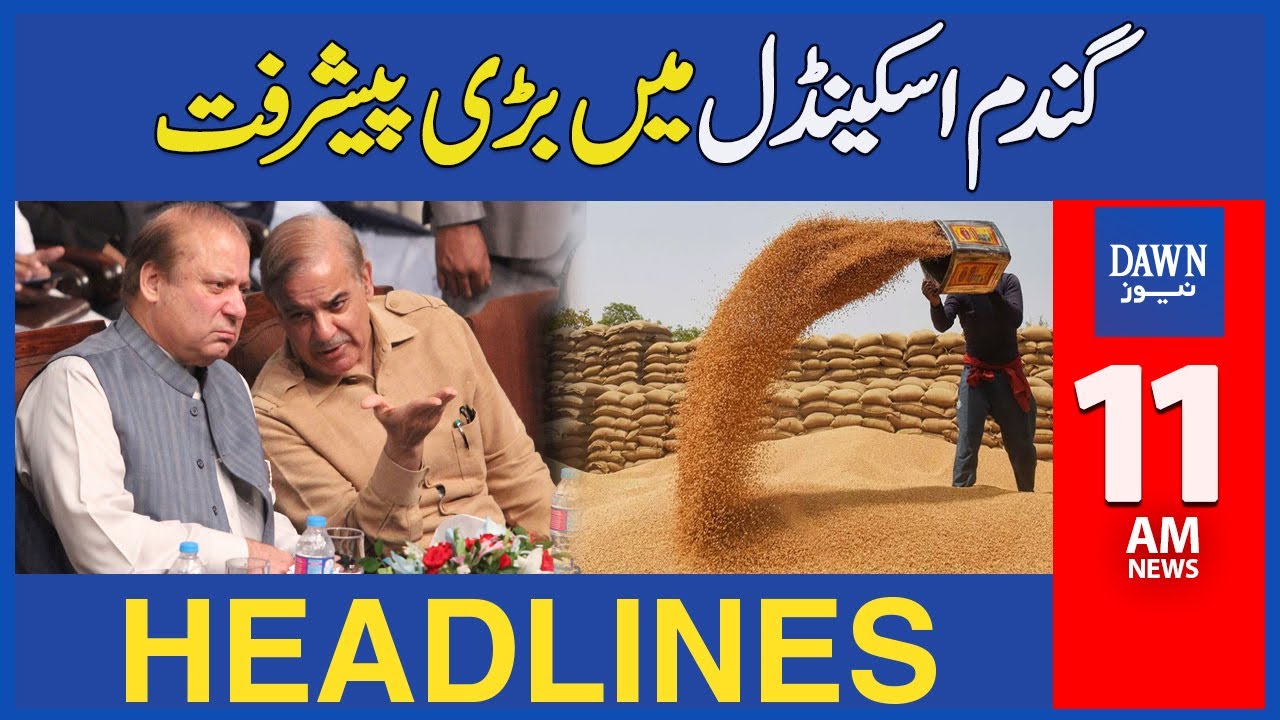 Dawn News Headlines: 11 AM | Major Developments in Wheat Scandal | May 5, 2024 - YouTube