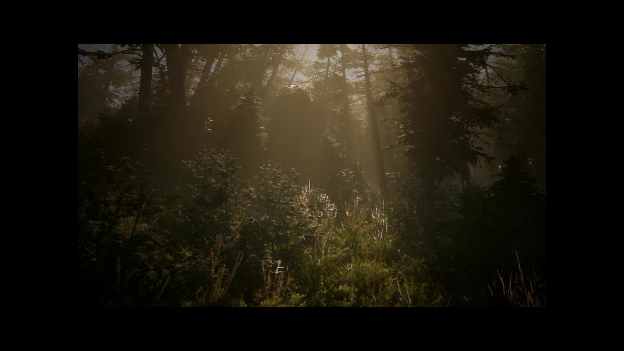 Woodland Level design render - YouTube