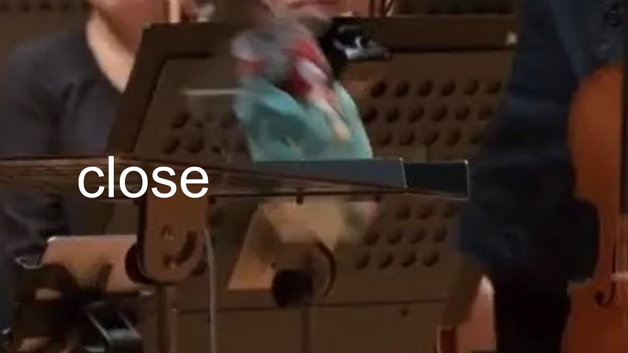 Kota Kawai Recreates The Bad Ending (3rd Anniversary Concert meme ...