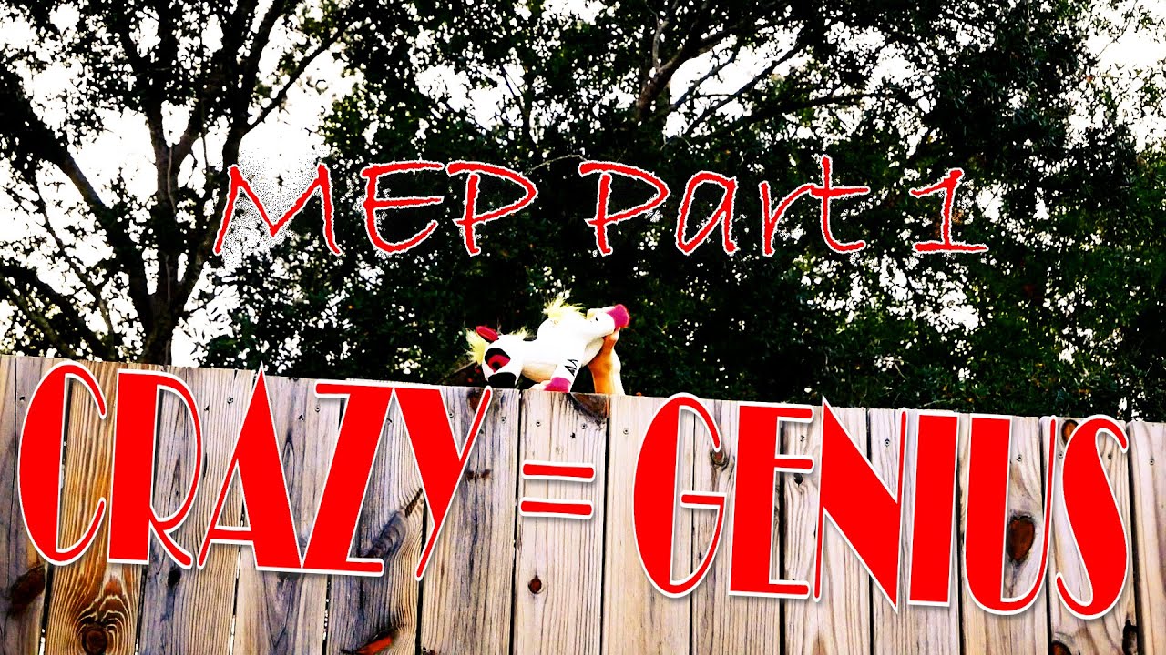 Crazy = Genius MEP Part 1 for Foxykinz - YouTube