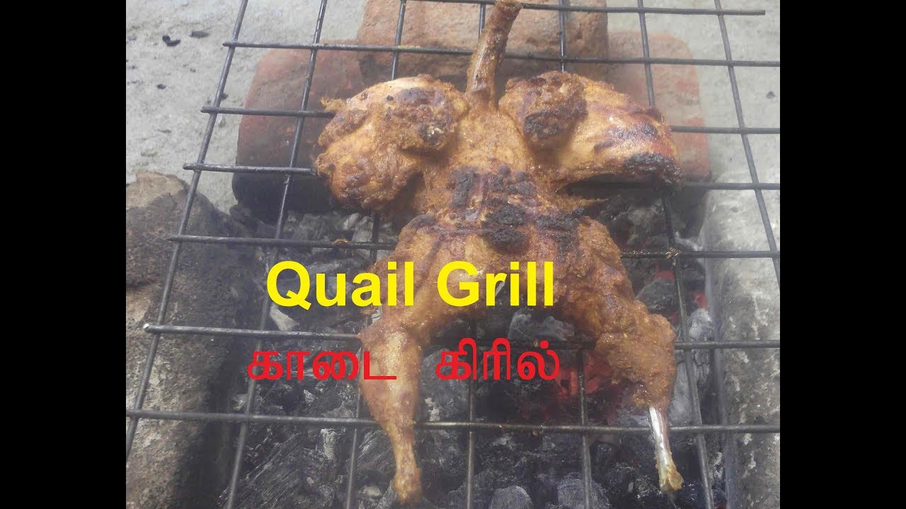 kada Barbecue Grill / Quail - Kaadai Girll Home Made / ANGRY BIRD FRY ...