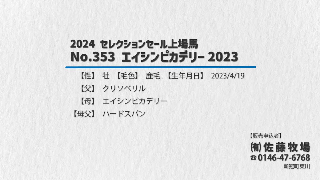 【セレクションセール2024】No.353 エイシンピカデリー2023 - YouTube