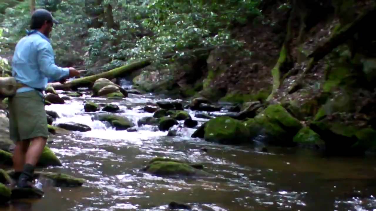 More small stream fishing in North Georgia - YouTube