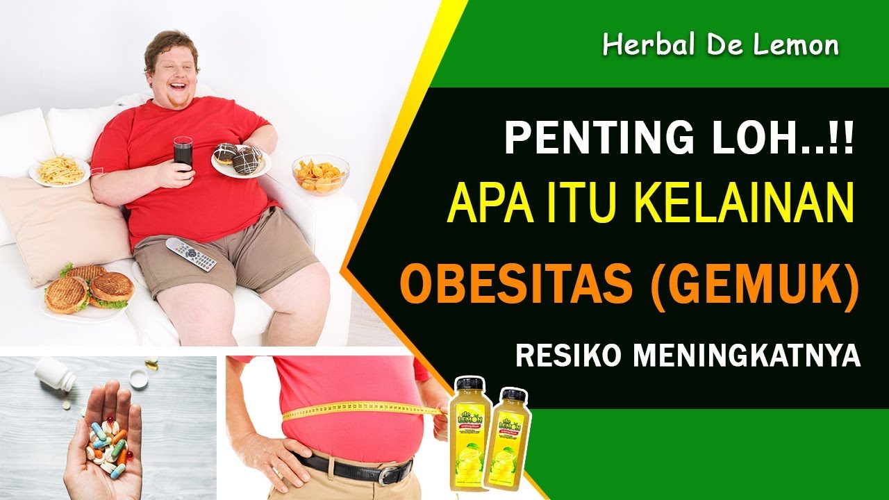 Obesitas (Kegemukan) Bisa Menyebabkan Penyakit Berbahaya..!! Yuk Diet ...