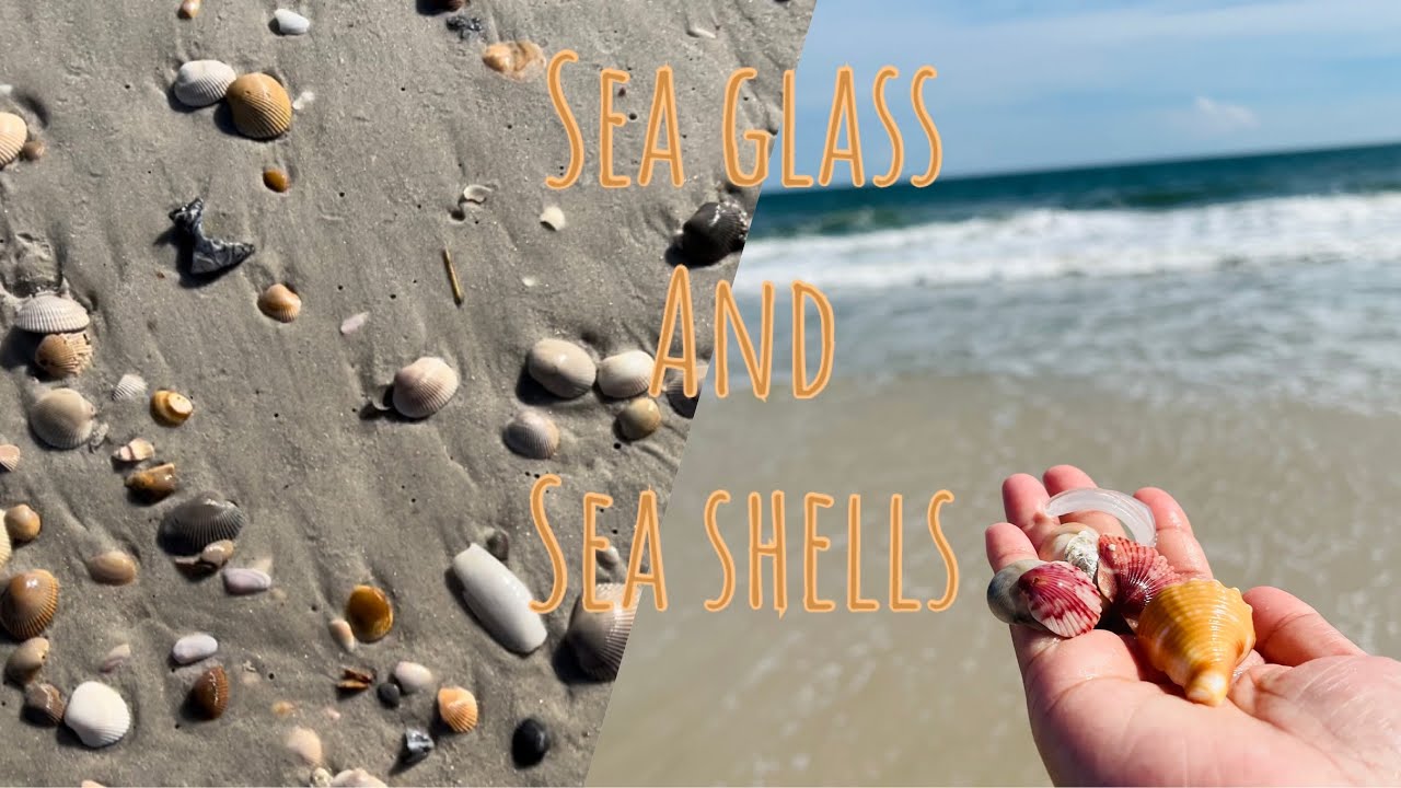 MICKLERS landing || Ponte Vedra Beach shelling|| Sea Glass || Tulip ...