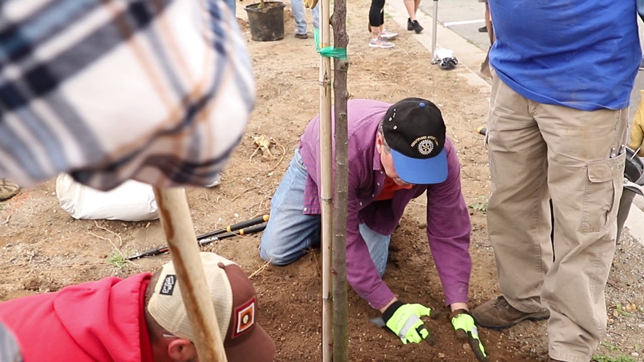 Rotary Tree Planting 4 20 19 - YouTube