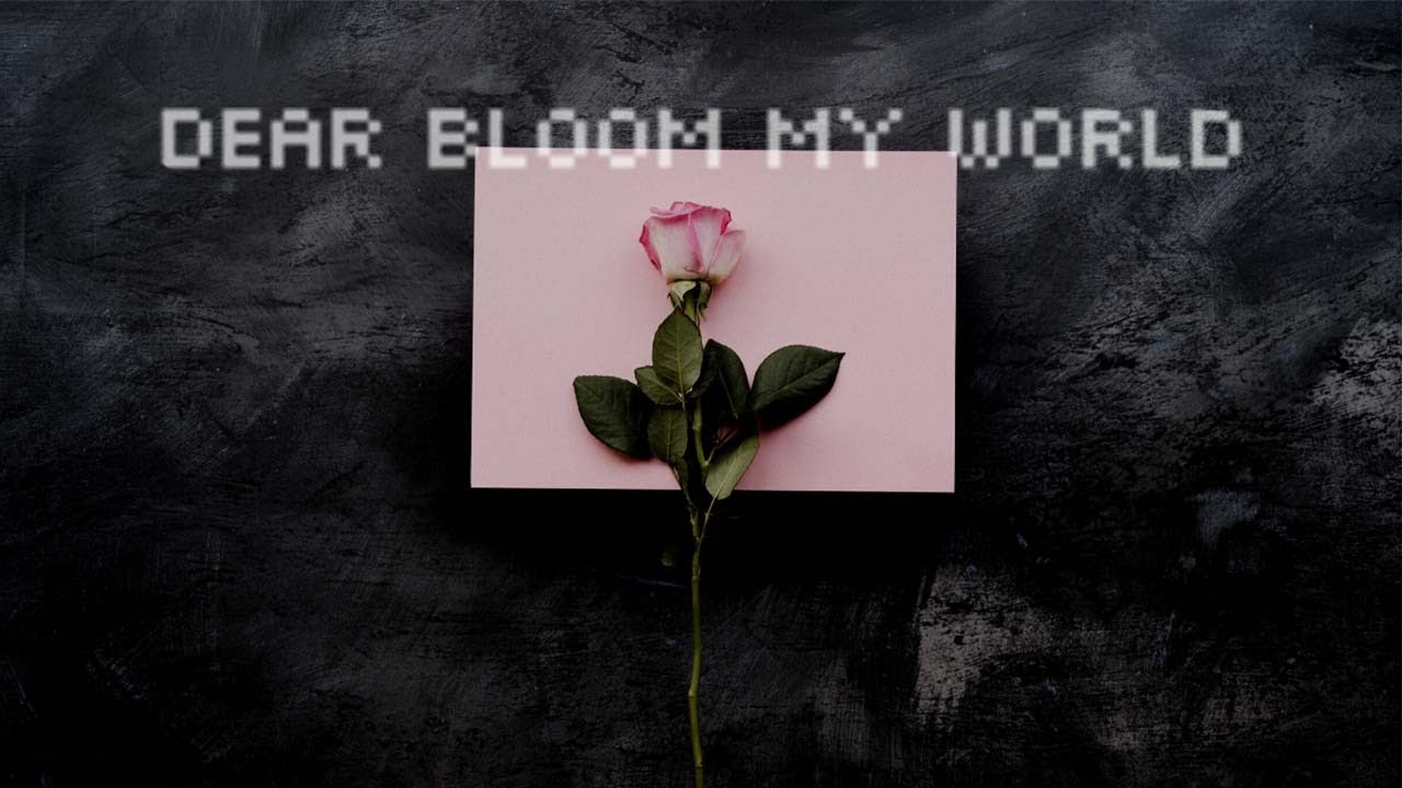 Chap, Person of Interest - Dear, Bloom My World. - YouTube