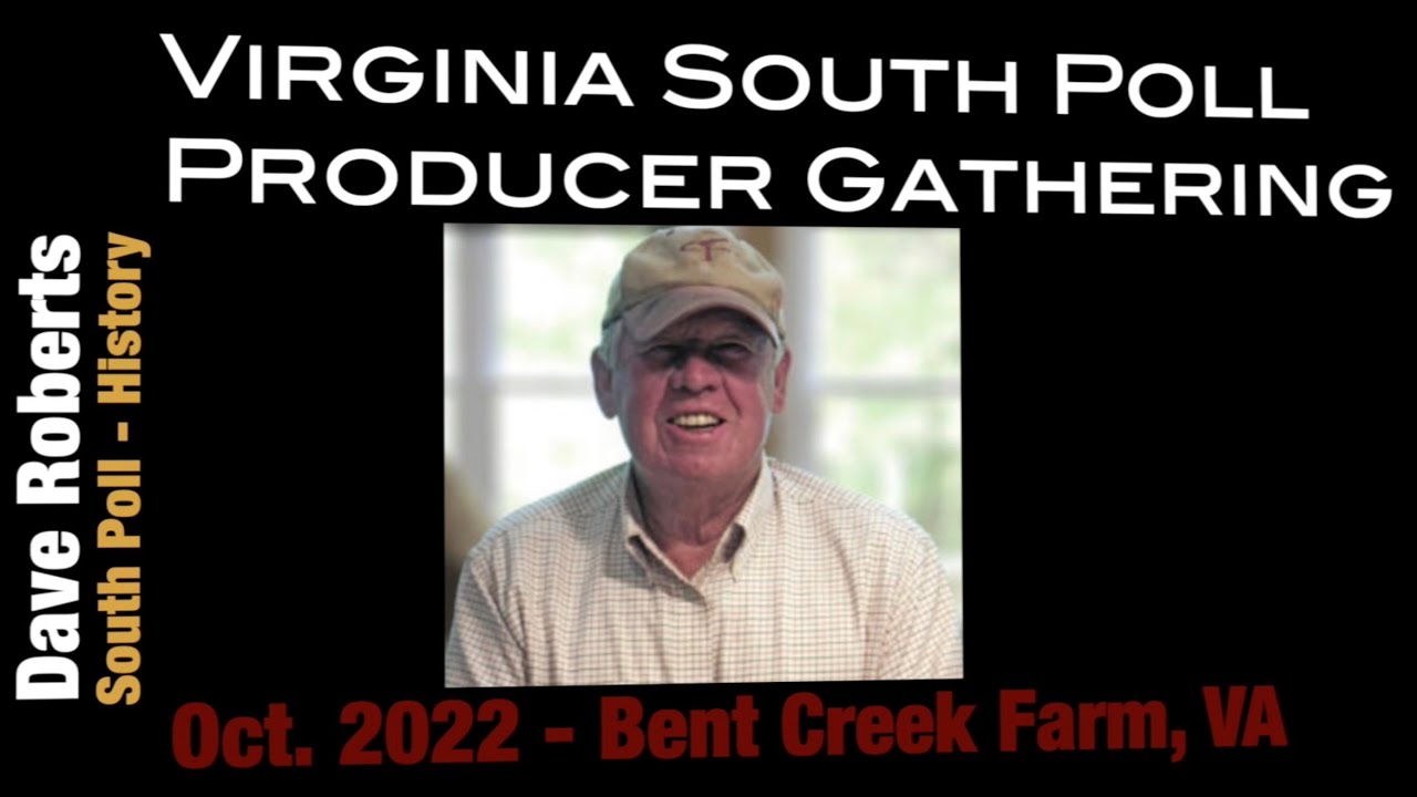 South Poll Grass Cattle History - Dave Roberts - YouTube
