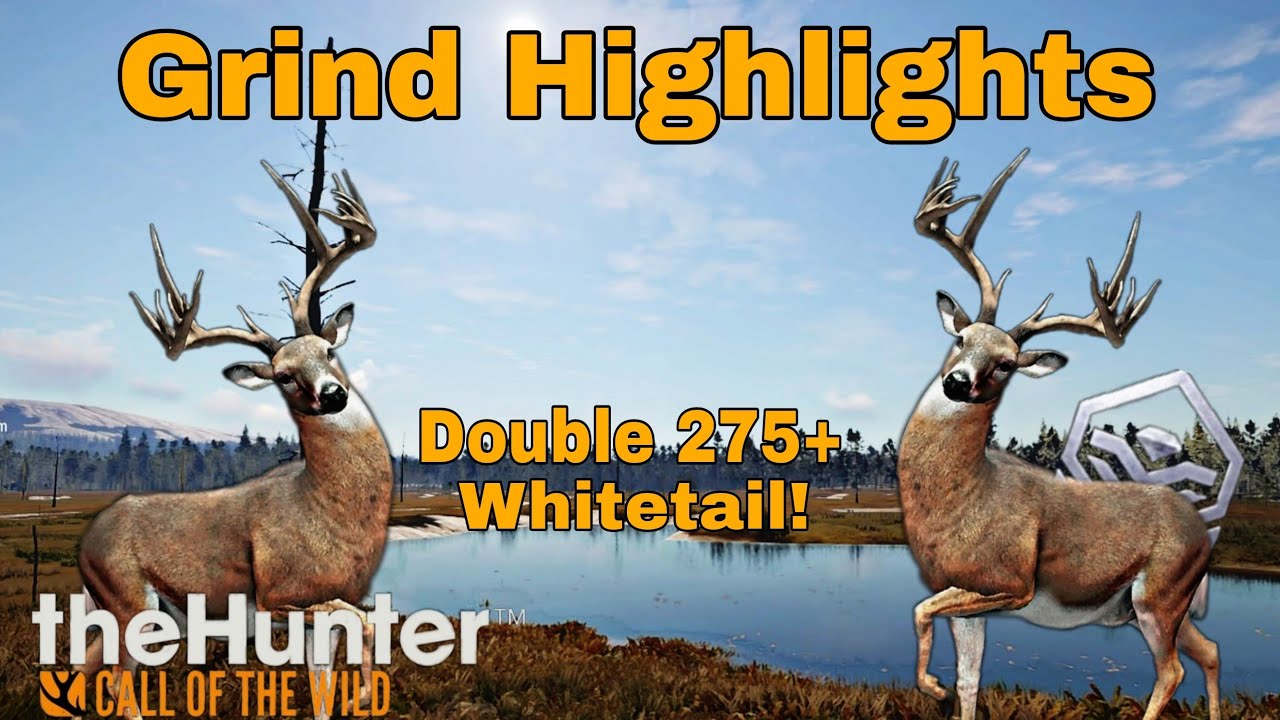 Double 275+ Whitetail from the Grind! Revontuli Grind Highlights | The ...