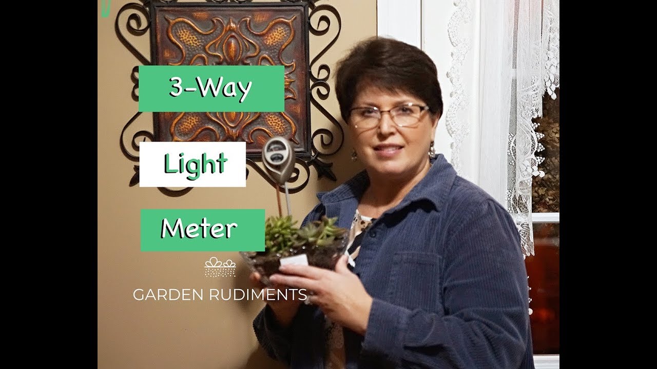 3 Way Soil Meter Review and Tutorial - YouTube