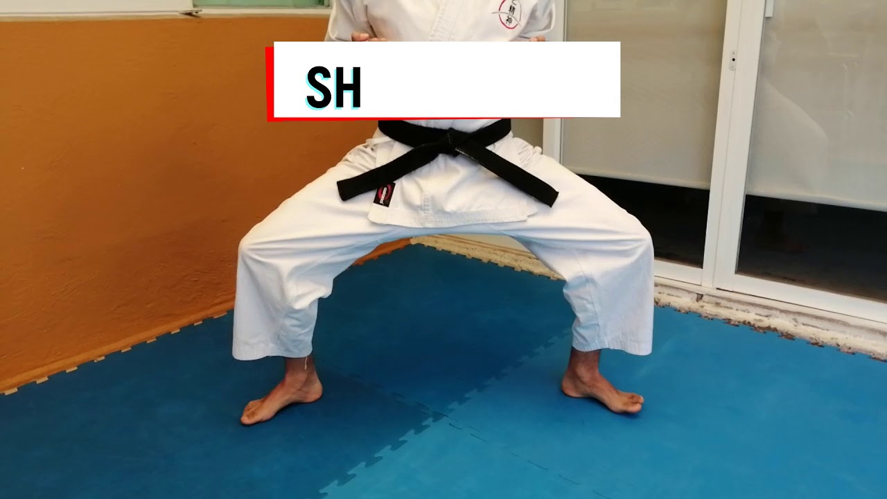 Video 7 - TACHIKATA (POSICIONES BÁSICAS) - YouTube