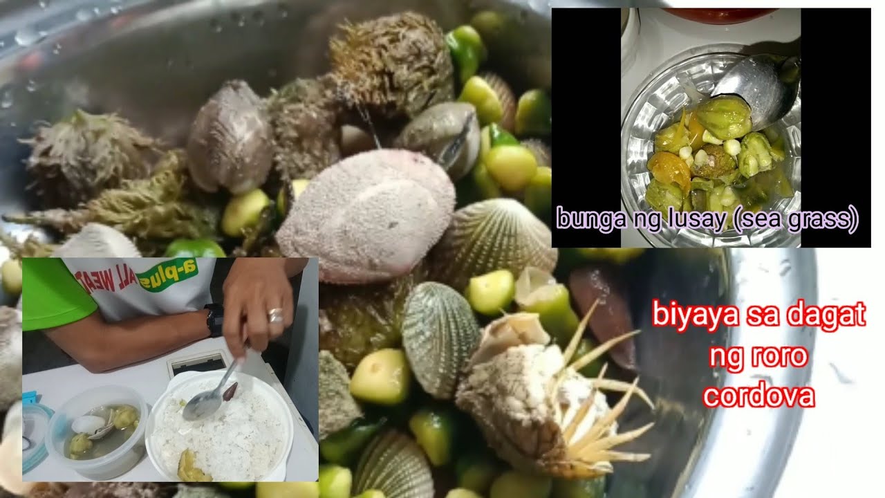 Lusay(seagrass) - YouTube