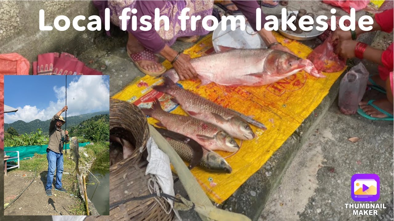 Local fish from Lakeside Pokhara - YouTube