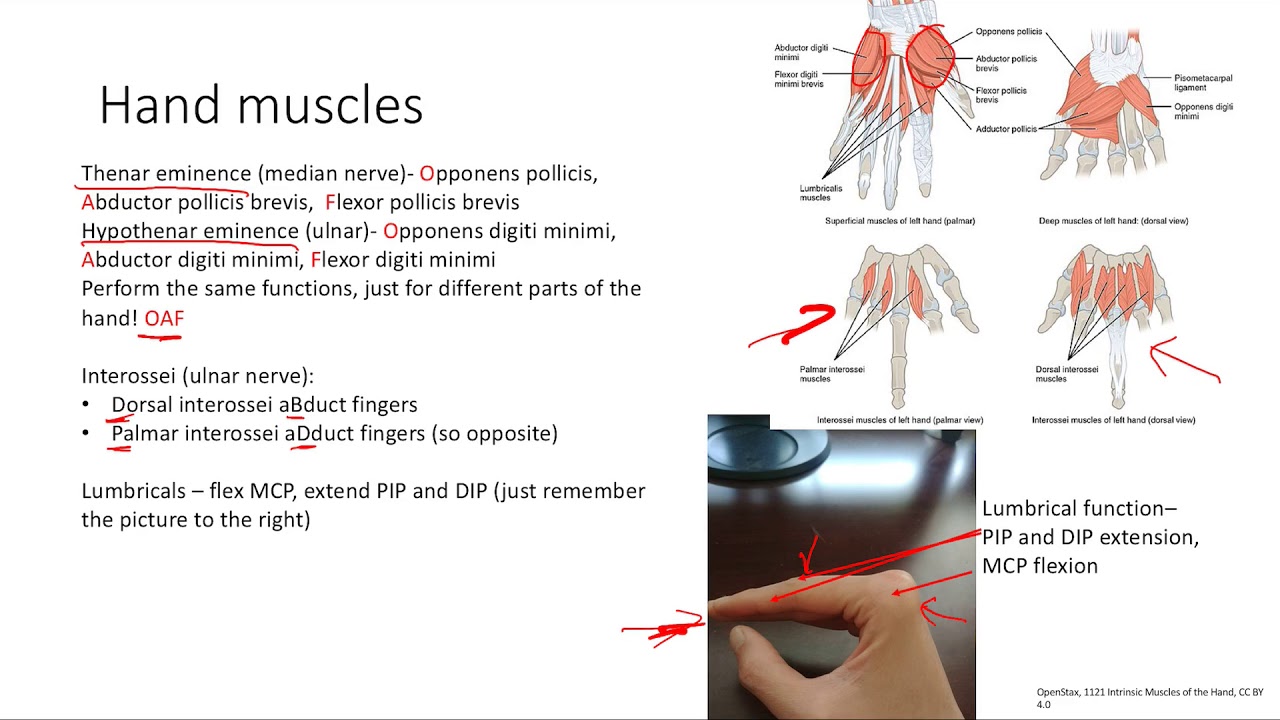 Additional MSK Injuries | MSK | Step 1 Simplified - YouTube