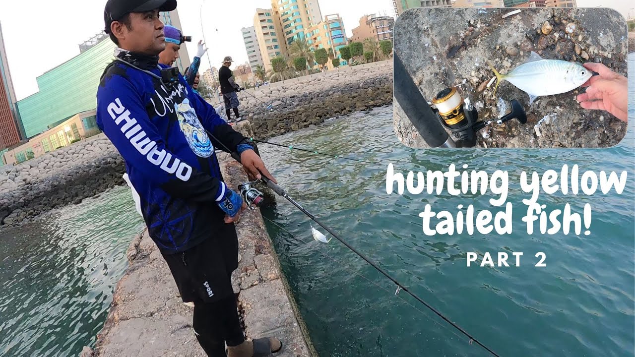 Hunting Yellow Tailed Fish Part 2 - YouTube