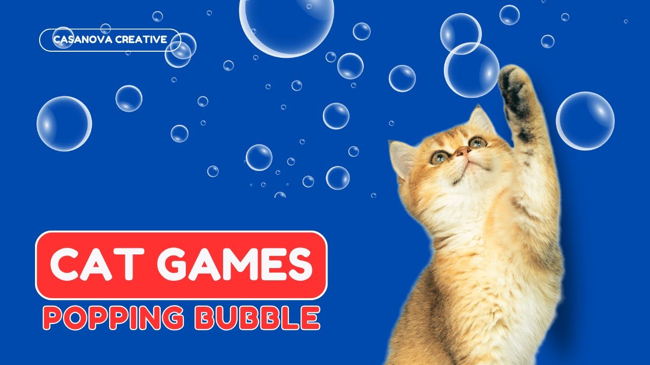 CAT GAMES - Popping Bubble Video For Cats - YouTube