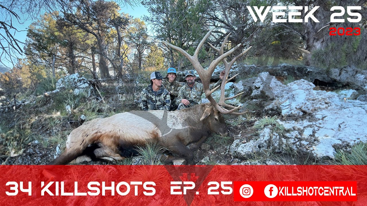 Killshot Montage | Week 25 | KILLSHOT CENTRAL - YouTube