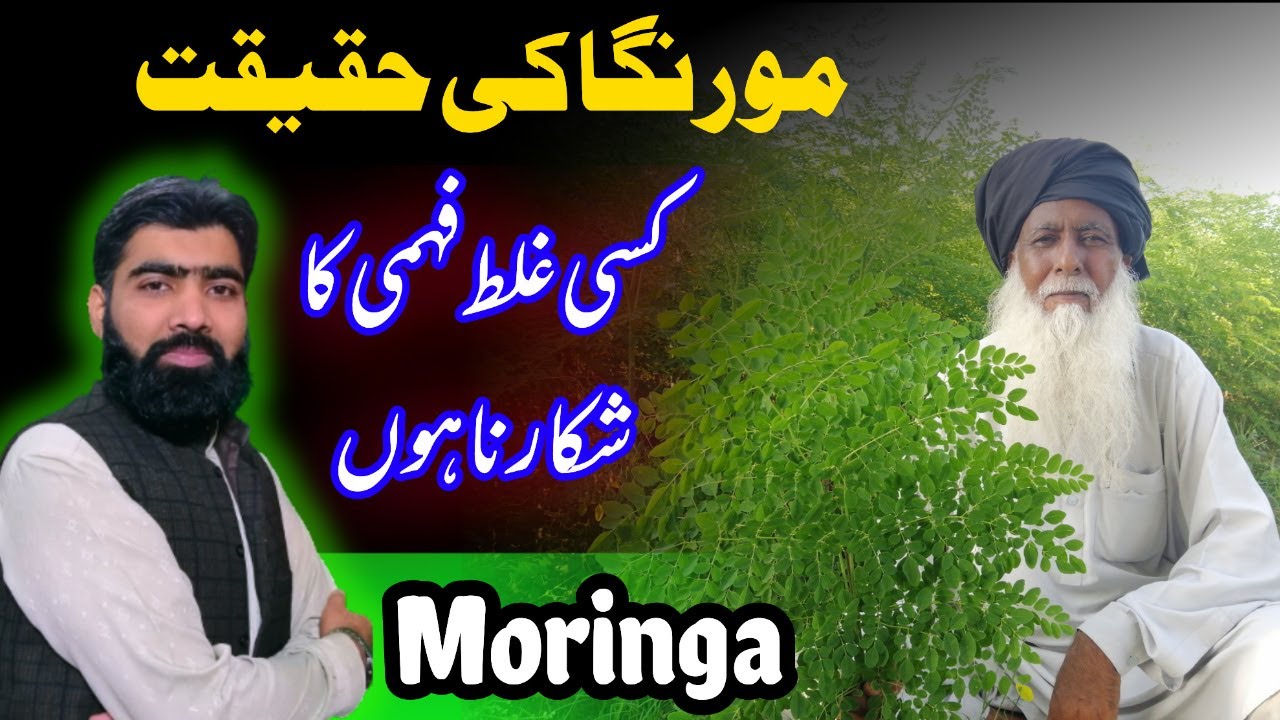 Moringa Truth vs Myths | Nutritional Comparison, Benefits, Side Effects ...