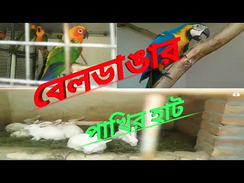 পাখির হাট Beldanga pakhir Haat - YouTube