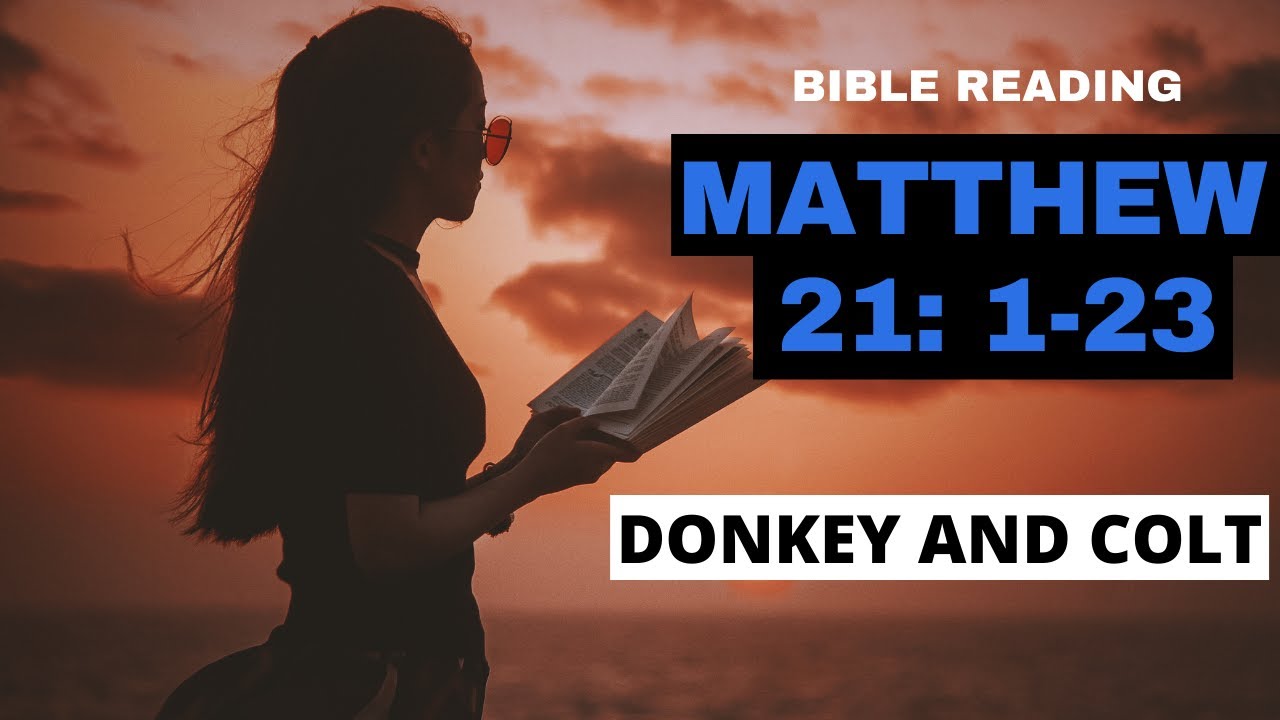 DONKEY AND COLT: BIBLE READING - YouTube