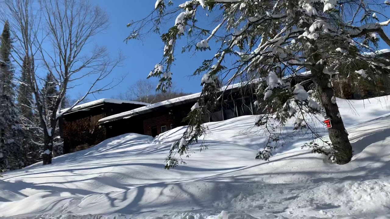 A visit to Rush’s Le Studio, 2020 - YouTube