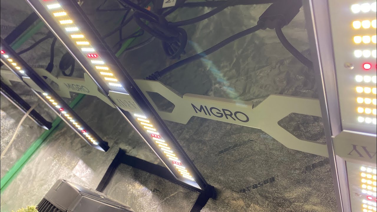 D48F Lit! Migro Aray 4 Installed and Mars SP3000 Repaired. 5 Strain ...