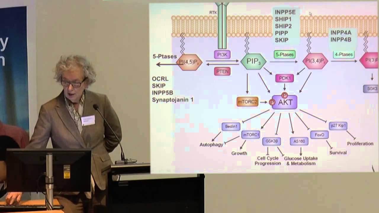 Prof Christina Mitchell on her basic research investigating breast ...