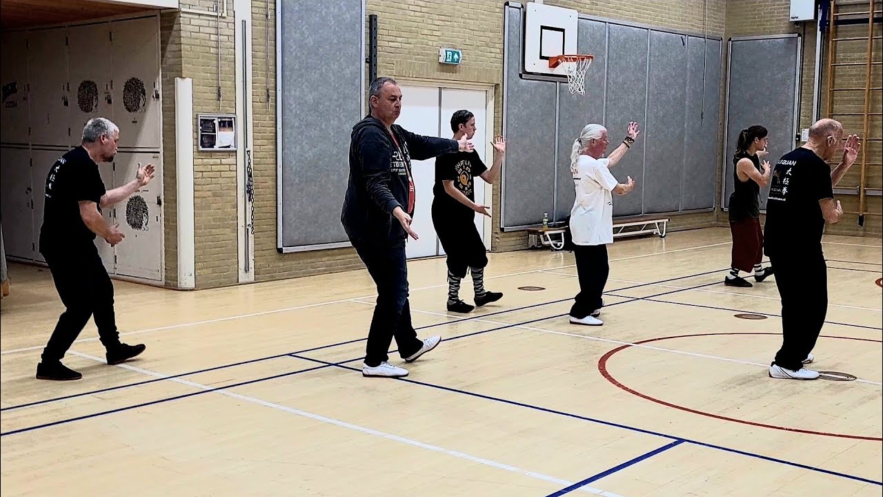 Tai Chi Apeldoorn Yang Cheng Fu 楊氏太極拳 108 Form Practice - YouTube