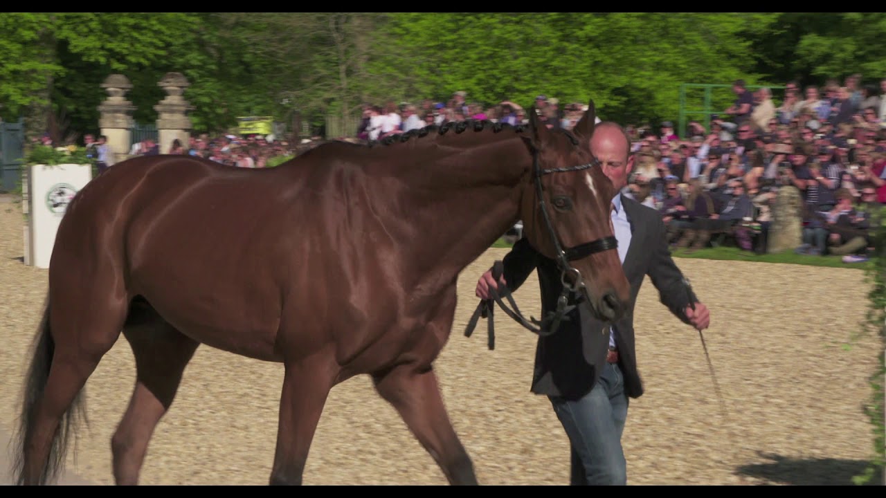 Final Horse Inspection #MMBHT - YouTube