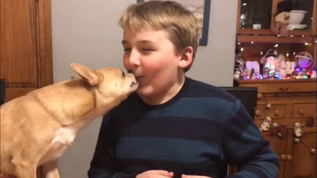 I taught my old dog a new trick for GMM - YouTube