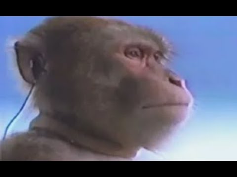 quick showcase of c-moon: prophet and it's new sfx - YouTube